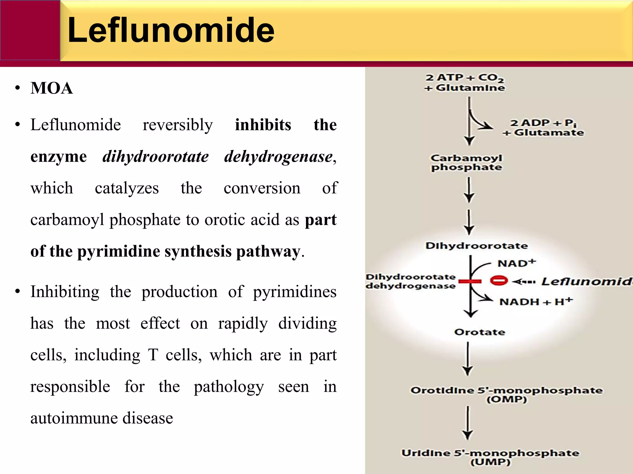 Anti-Rheumatic drugs | PPTX