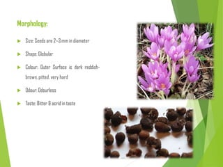 ANTI-RHEUMATICS - Colchicum - BS, FAMILY, CHEMICAL CONSTITUENTS, USES | PDF