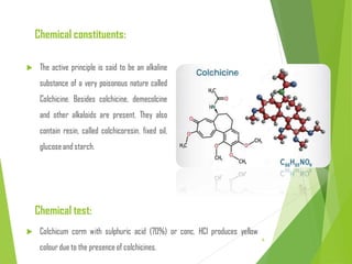ANTI-RHEUMATICS - Colchicum - BS, FAMILY, CHEMICAL CONSTITUENTS, USES | PDF