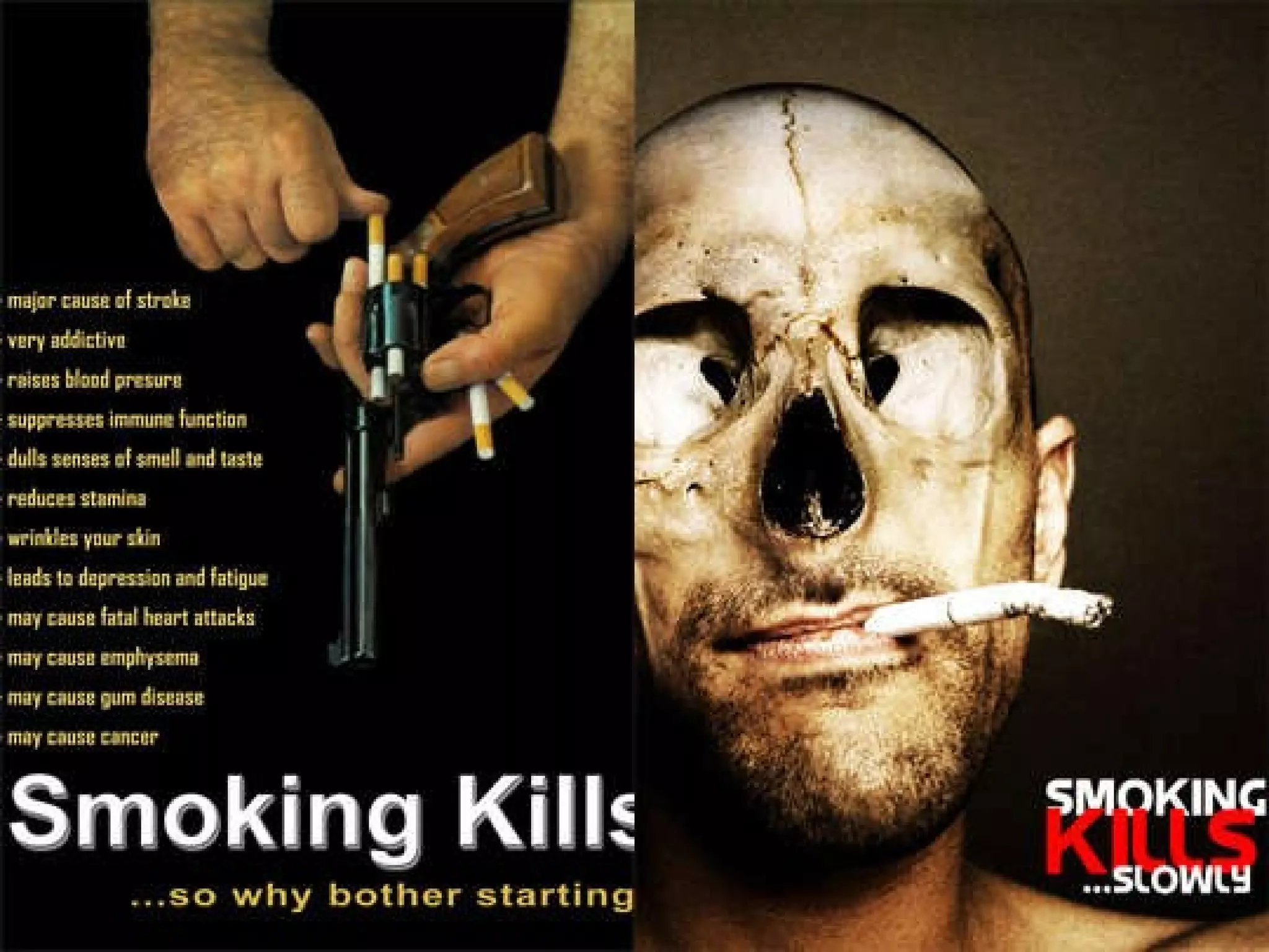 Anti Smoking Advertisements | PPT