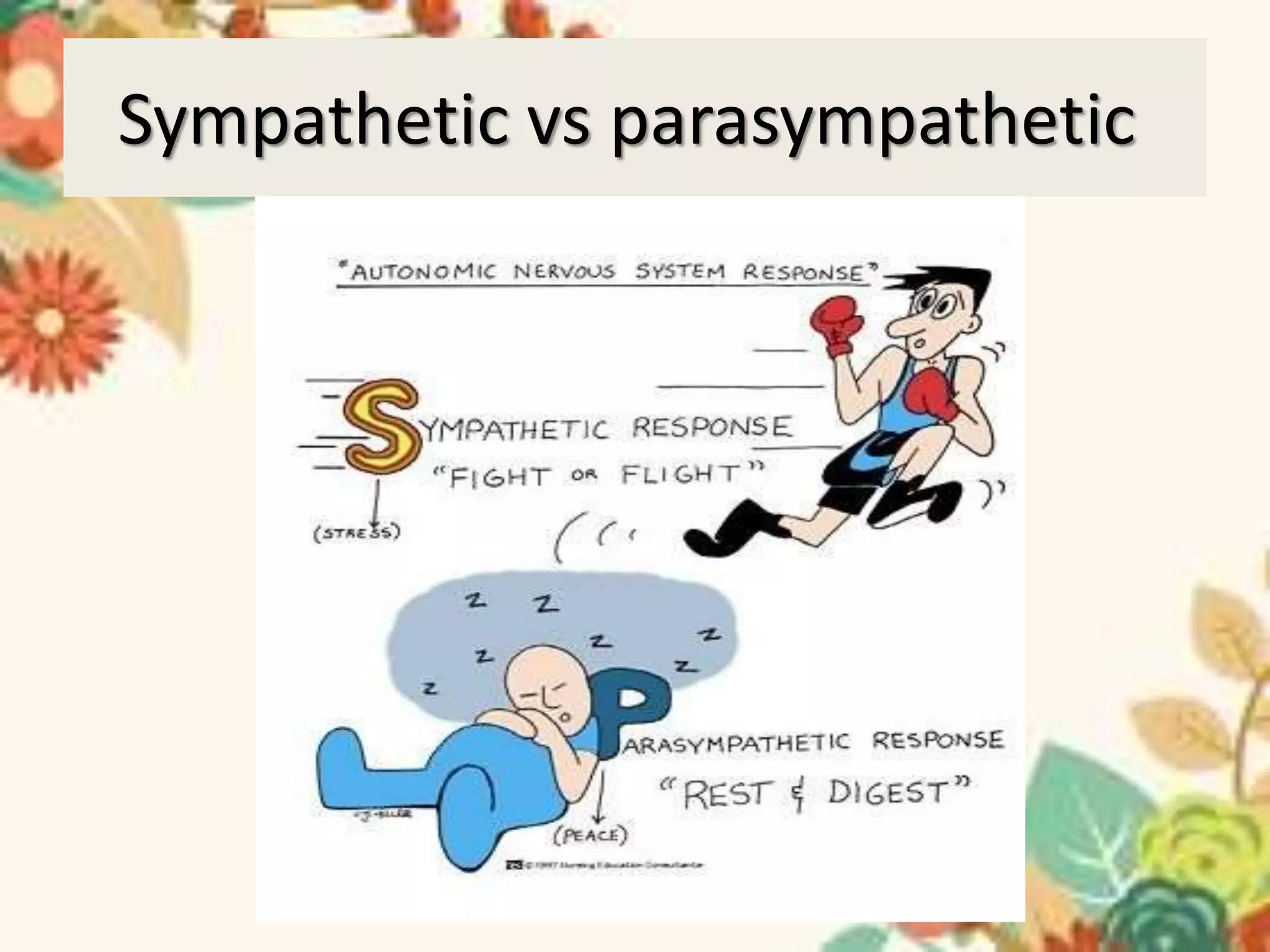 Anti spasmodics | PPTX