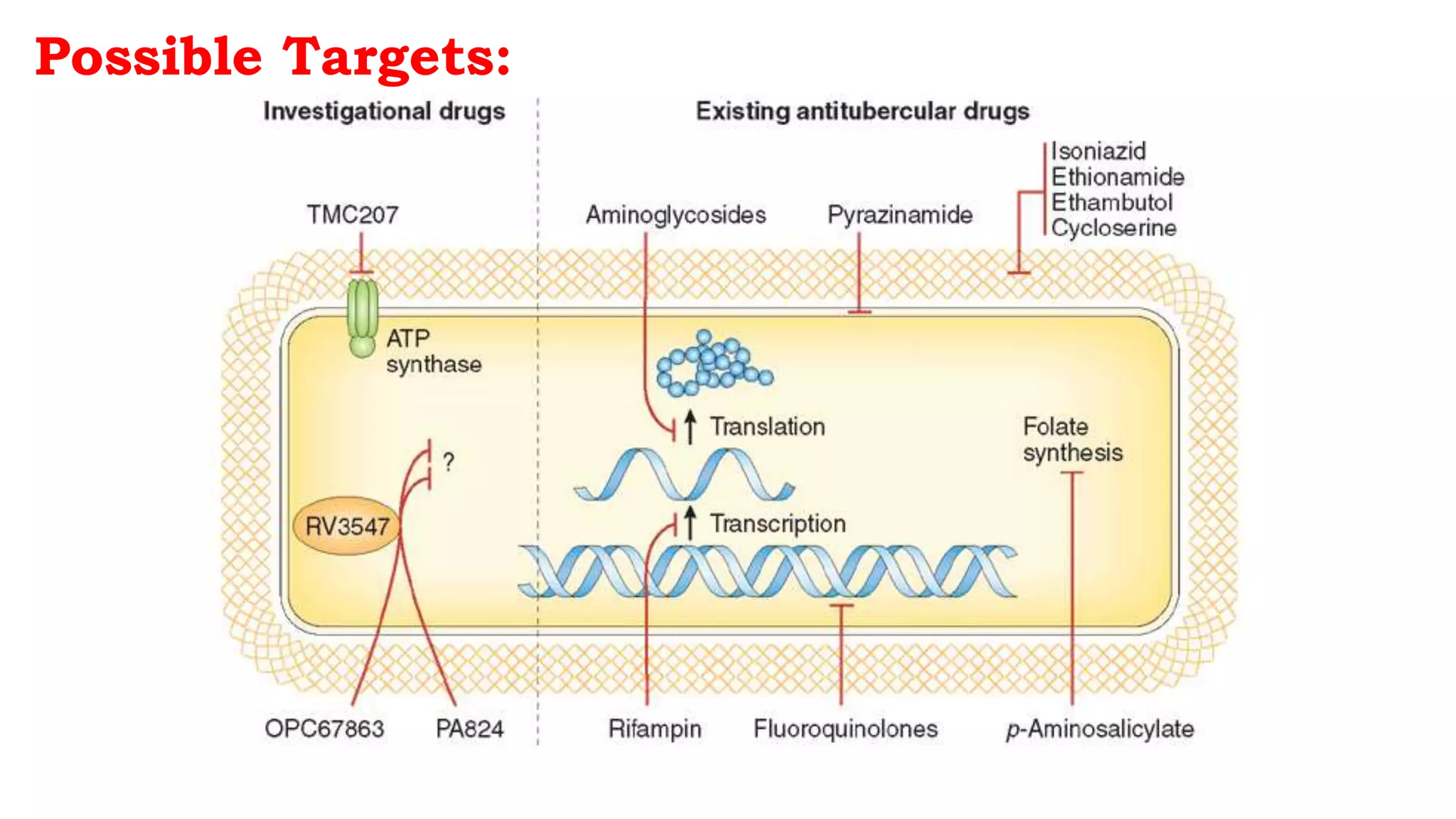 Anti tuberculosis Agents | PPTX