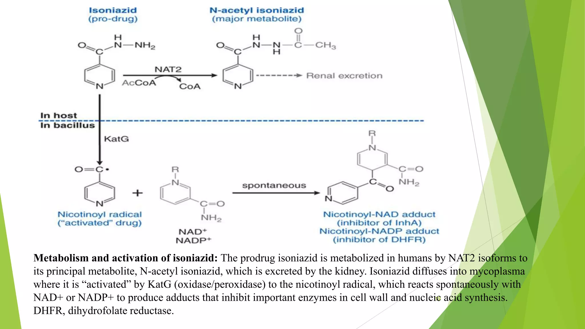 anti-TB drugs.pptx -revised.pptx