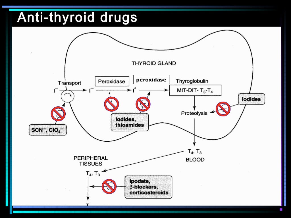 Anti thyroid drugs