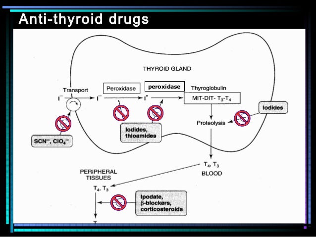 Anti thyroid drugs
