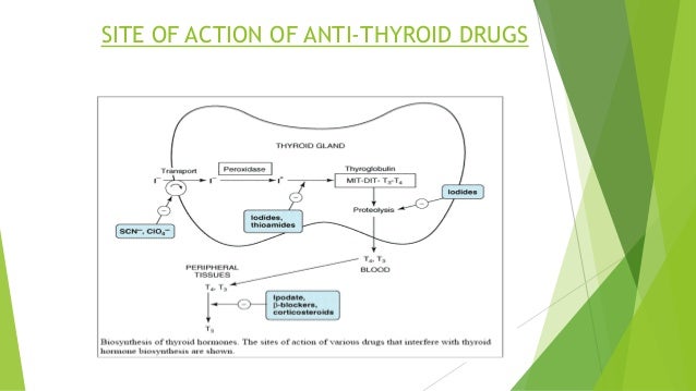 Anti thyroid drugs
