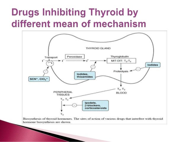 Anti thyroid drugs