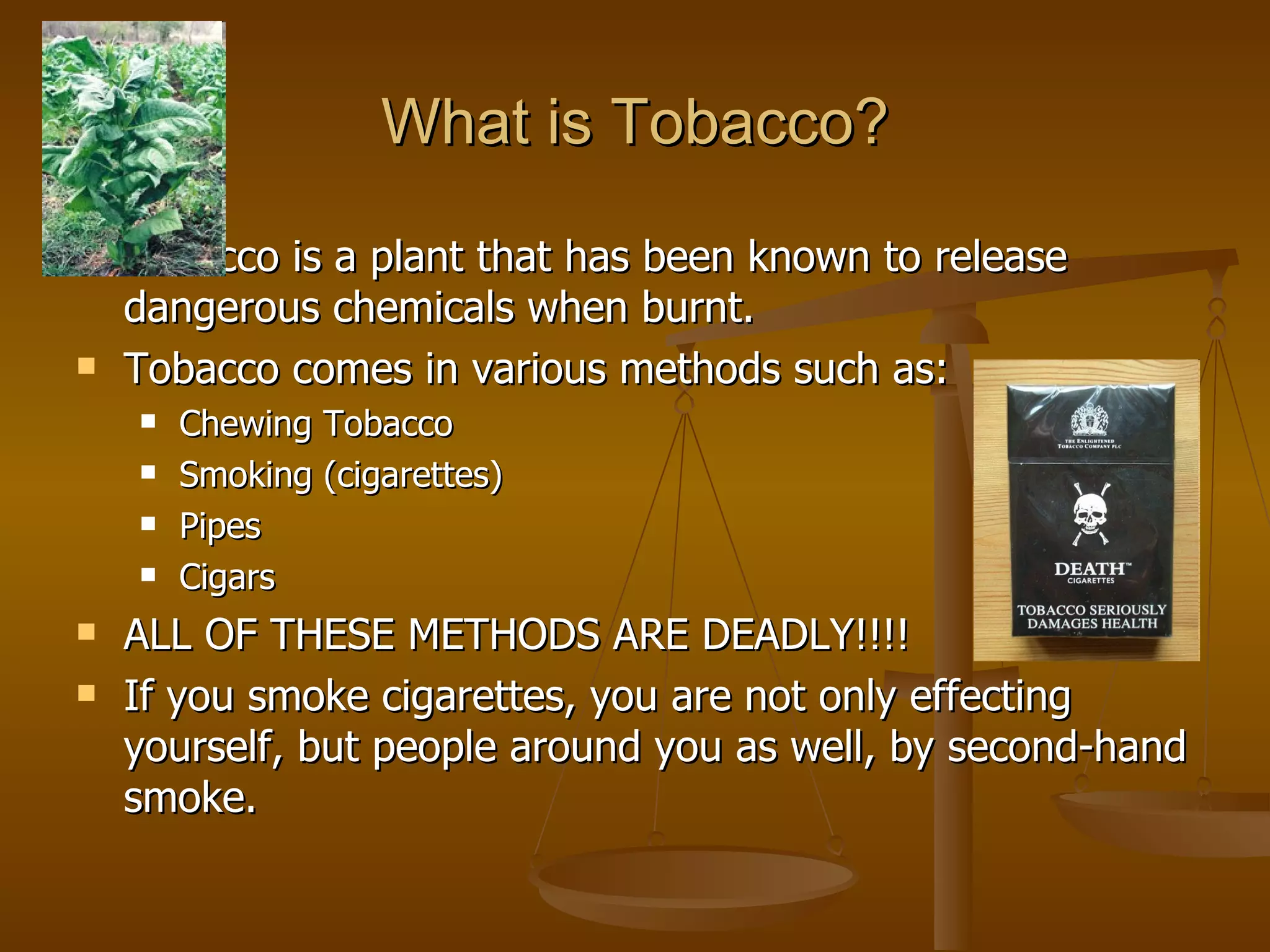 Anti-Tobacco Project | PPT