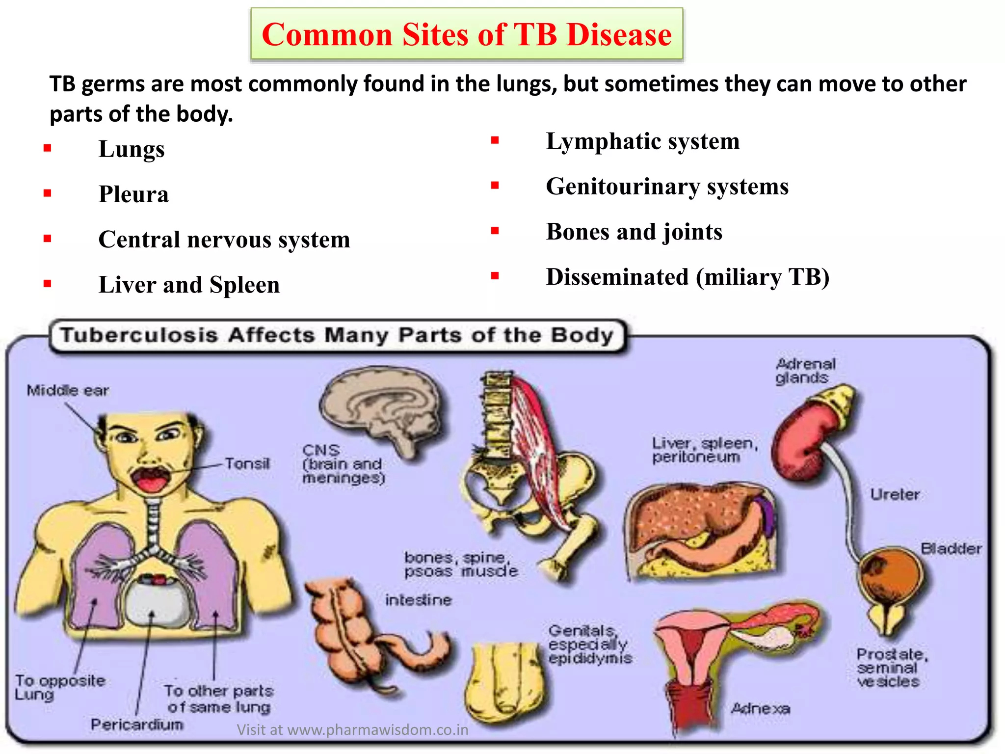 Anti-tubercular agents | PPTX