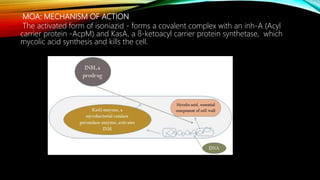 Anti tubercular drugs | PPTX