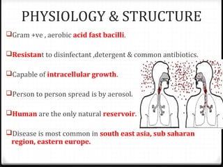 Anti tuberculosis drugs | PPT