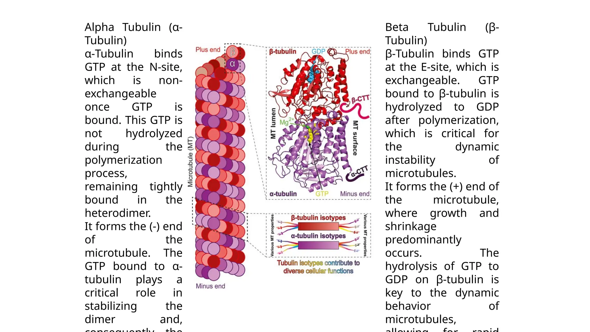 Anti-tubulin agents and chemistry involved in drugs acting on anti ...