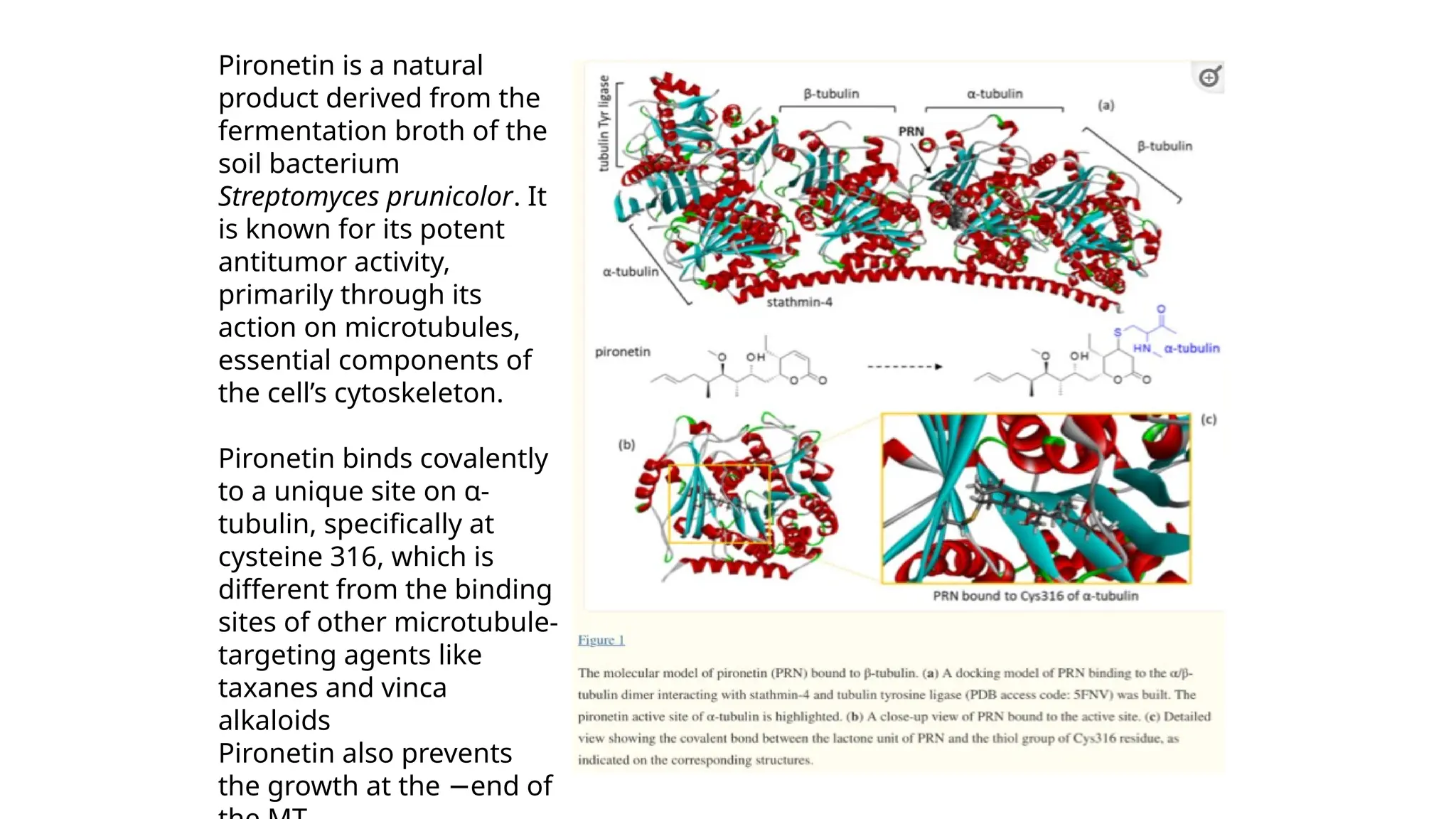 Anti-tubulin agents and chemistry involved in drugs acting on anti ...