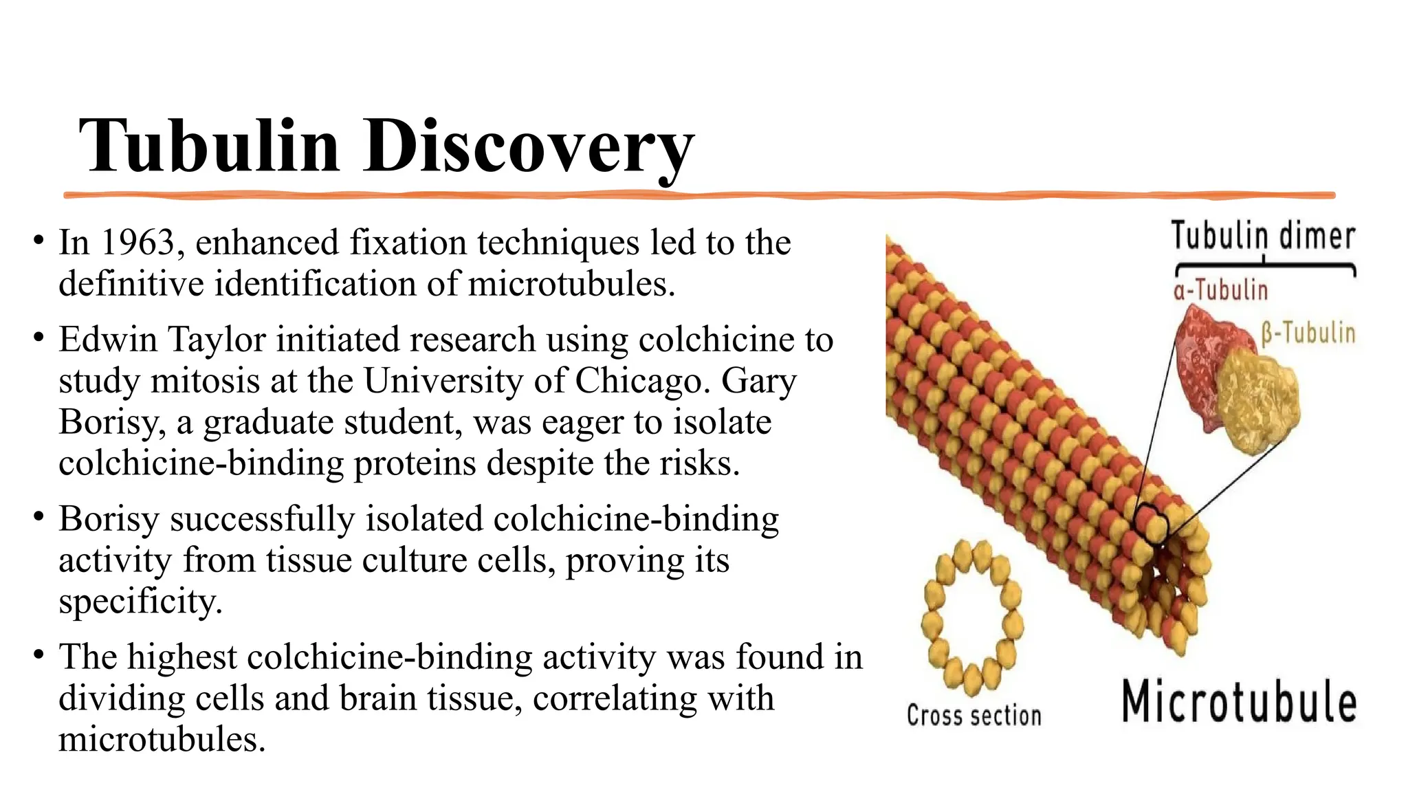 Anti-tubulin agents used for anti cancer therapy | PPTX
