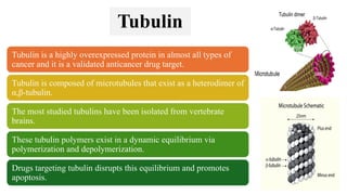 Anti-tubulin agents used for anti cancer therapy | PPTX