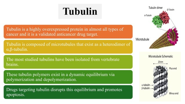 Anti-tubulin agents used for anti cancer therapy | PPT