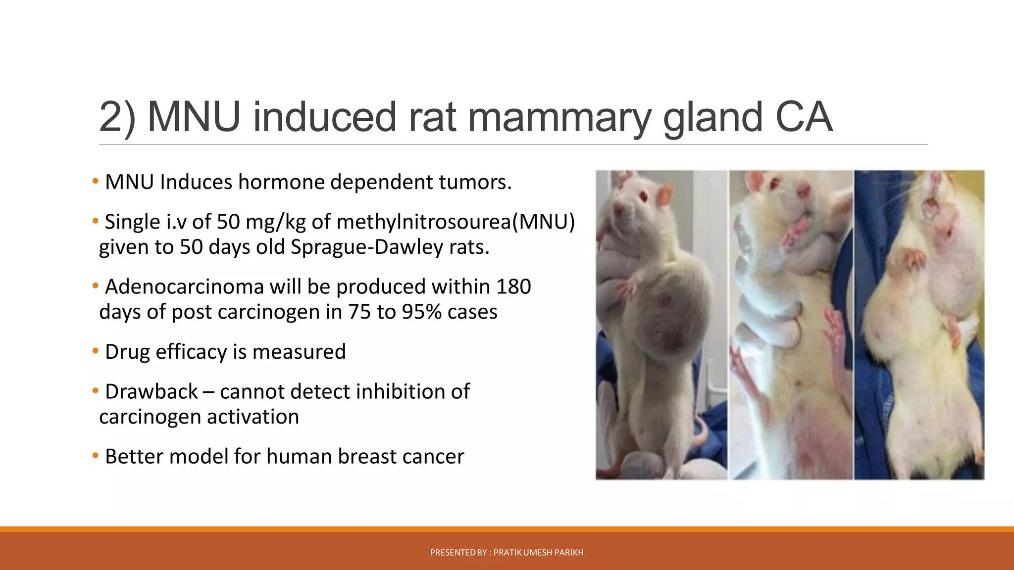 Anti- Tumor assay / Screening of Anticancer Drugs | PDF