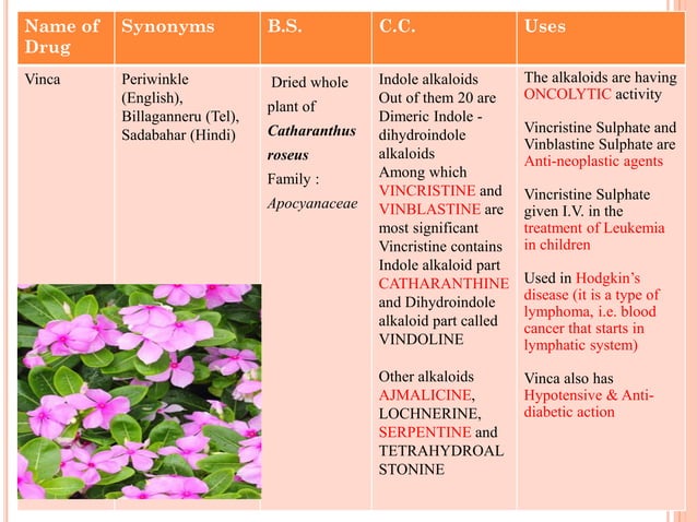 Anti-tumour drugs. Vinca drug, Natural Antitumor drug | PDF | Cancer ...