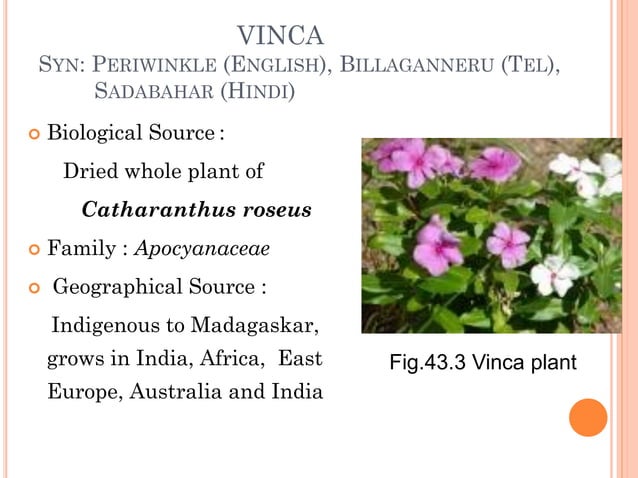 Anti-tumour drugs. Vinca drug, Natural Antitumor drug | PDF | Cancer ...
