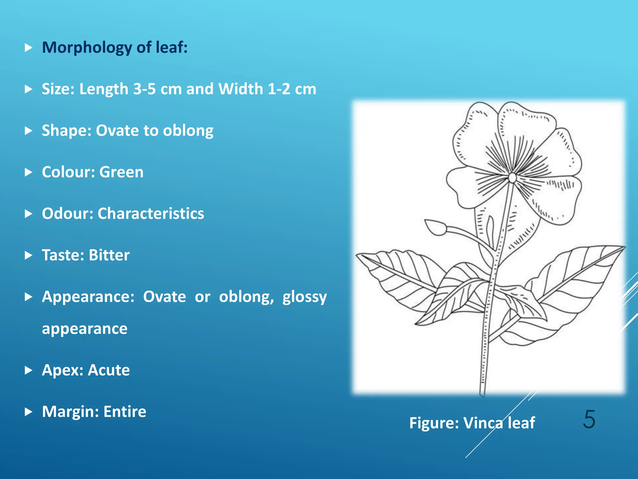 ANTI-TUMOUR - PHARMACOGNOSTIC NOTE - VINCA AND PODOPHYLLUM | PDF