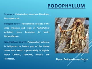 ANTI-TUMOUR - PHARMACOGNOSTIC NOTE - VINCA AND PODOPHYLLUM | PDF