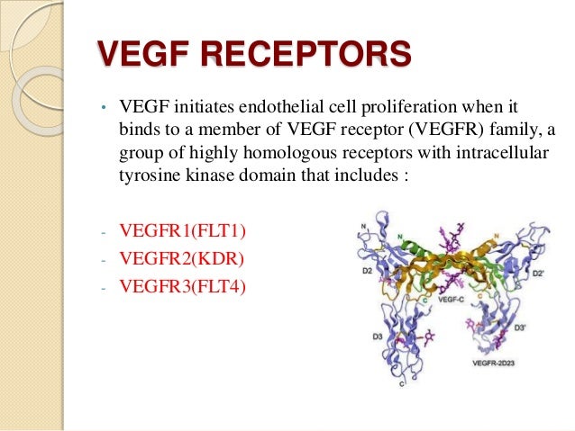 Anti vegf' s in Ophthalmology