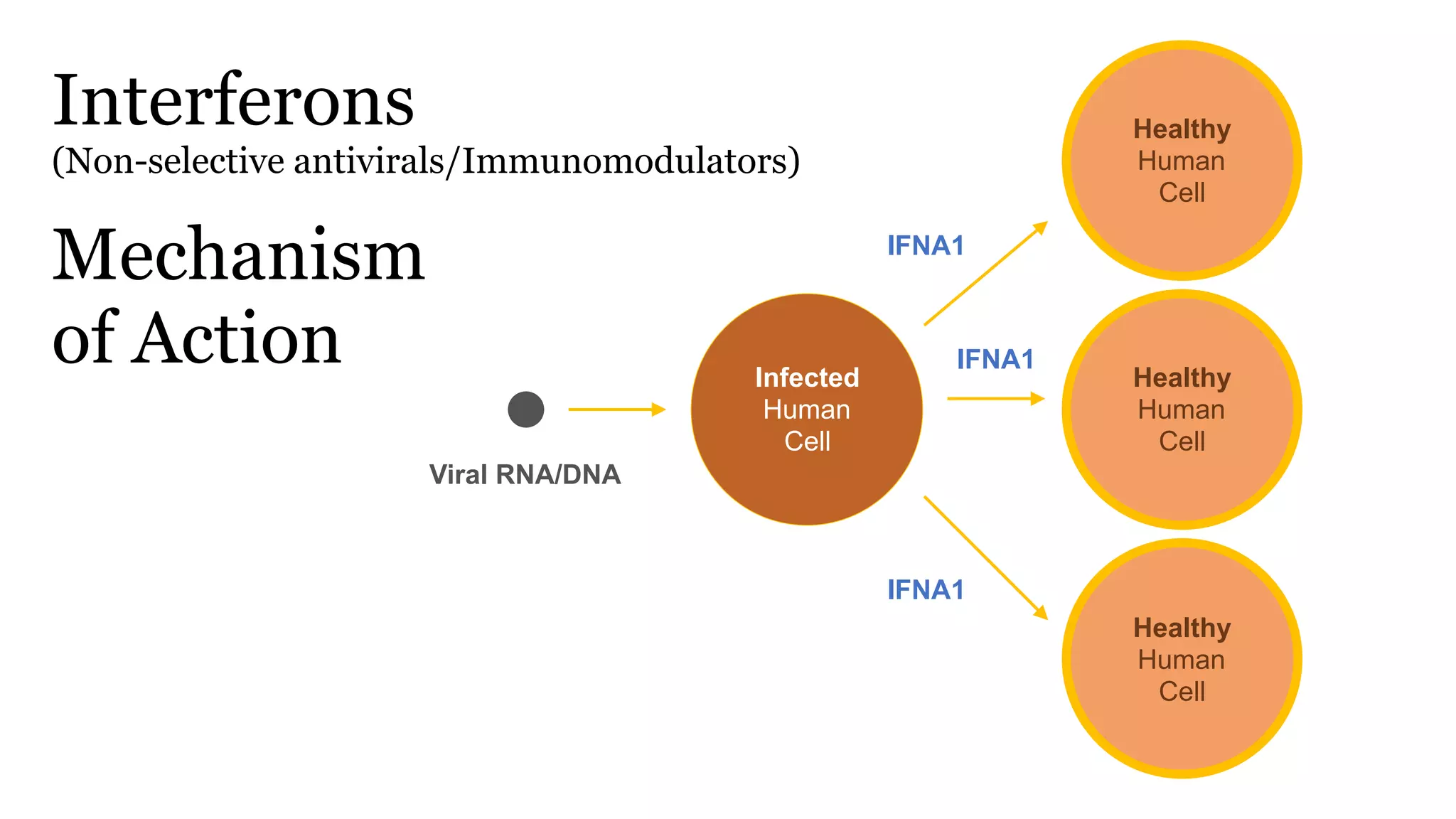 Antiviral Drugs – A Brief (Classification & Mechanism of Actions) | PDF