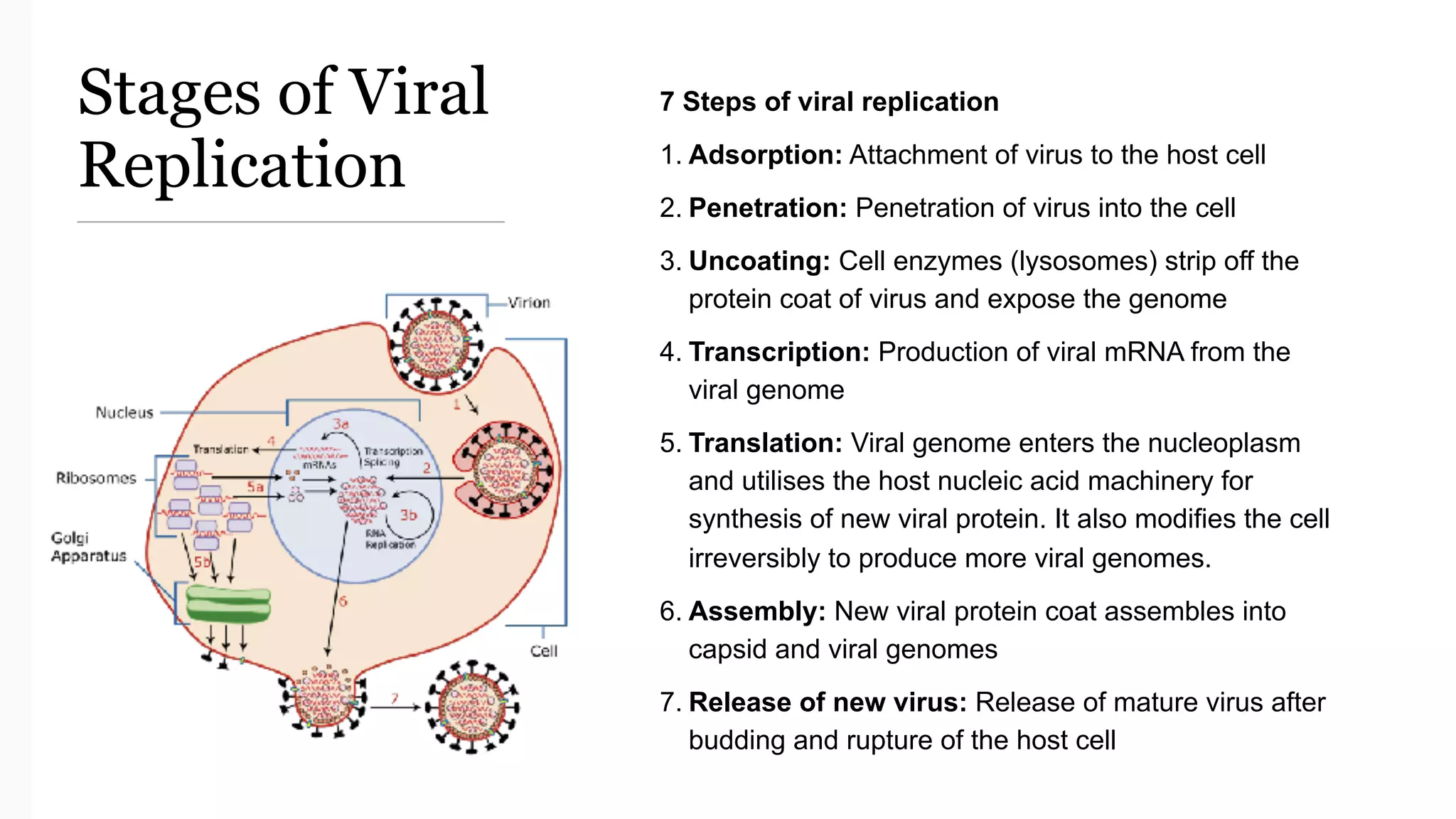 Antiviral Drugs – A Brief (Classification & Mechanism of Actions) | PDF