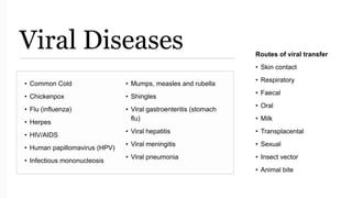 Antiviral Drugs – A Brief (Classification & Mechanism of Actions) | PDF