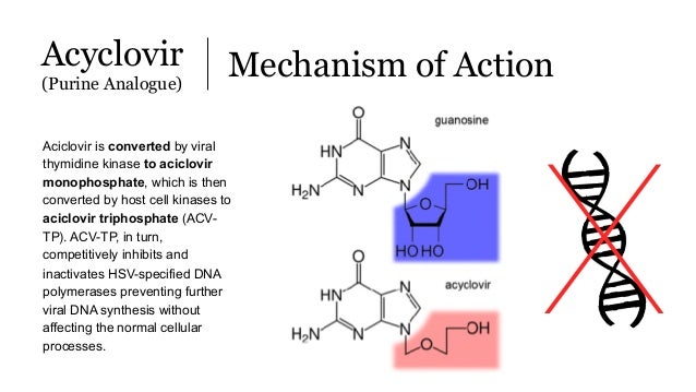 Antiviral Drugs – A Brief (Classification & Mechanism of Actions)