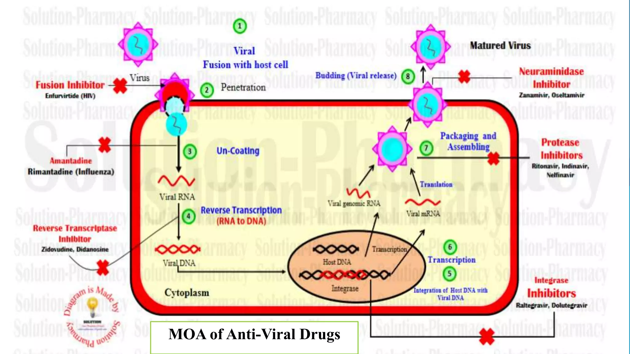 Anti-Viral Drugs.pptx