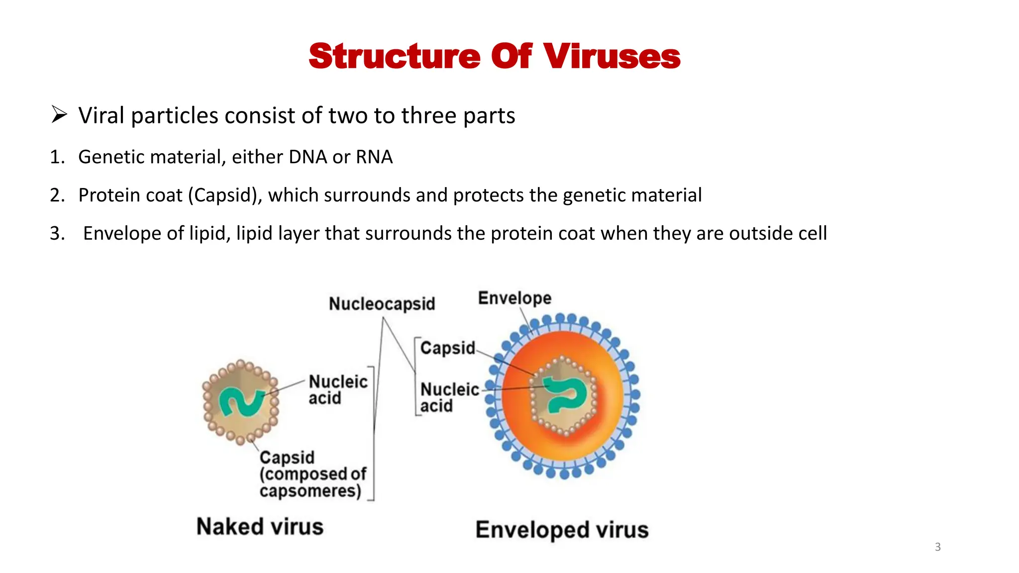 Anti-Viral Drugs/ Medicinal Chemistry .pdf