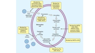ANTI-VIRAL DRUGS unit 3 Pharmacology 3.pptx
