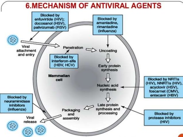 Anti-Virals Drugs (Medicinal Chemistry) | PPTX