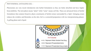 Antiaging phytosomal gel | PPTX