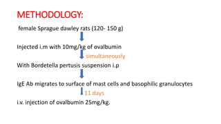 ANTIALLERGICS’.pptx