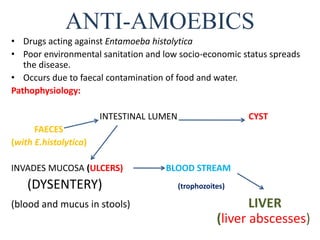 Antiamoebic agents | PPT