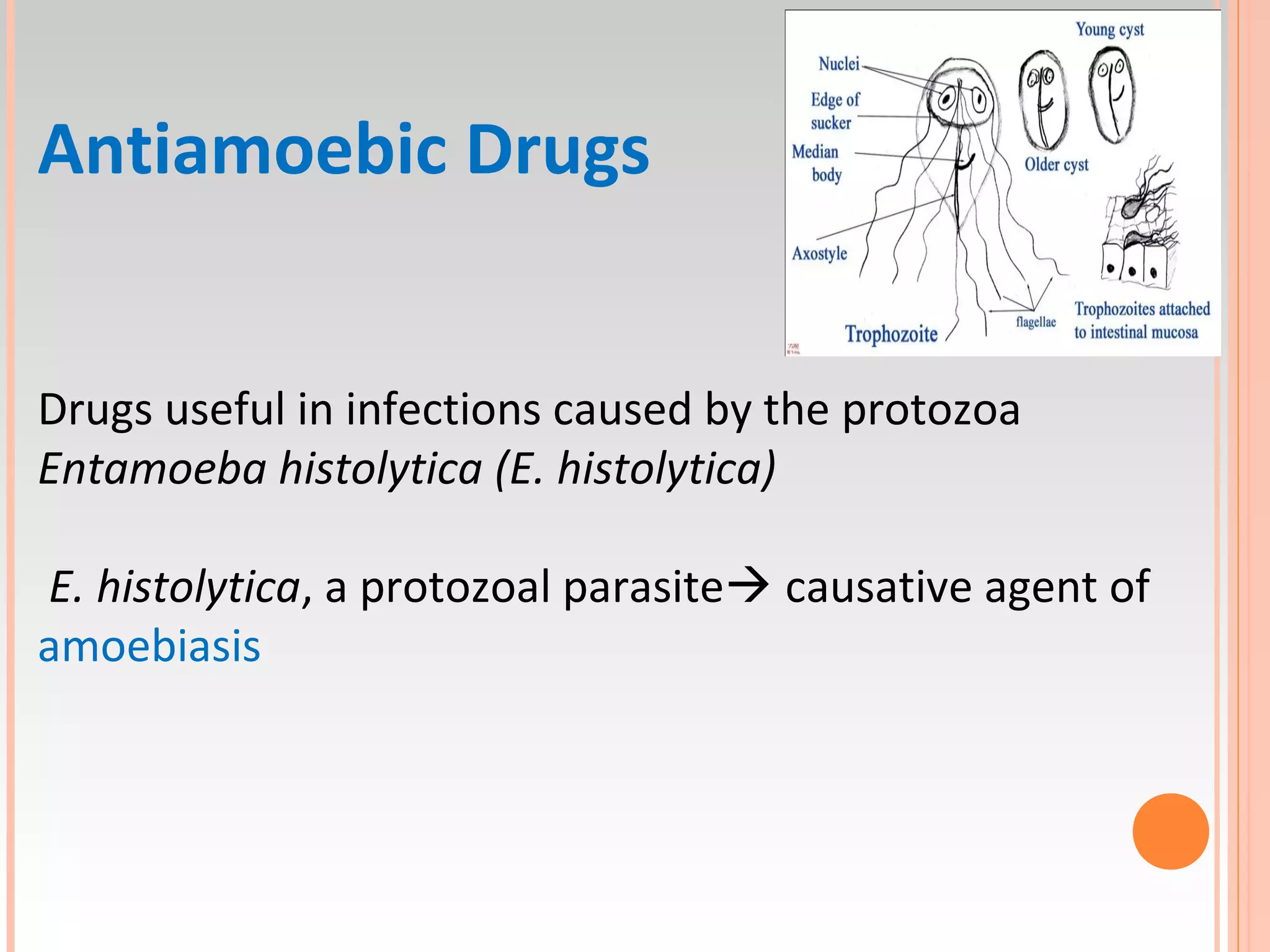 Antiamoebic and antiprotozoal drugs | PPT