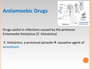 Antiamoebic and antiprotozoal drugs | PPT