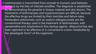 Antiamoebic and other | PPT