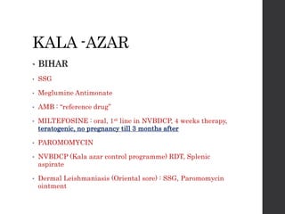 Antiamoebic and other antiprotozoal drugs | PPTX