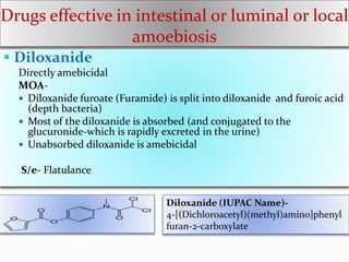 Antiamoebic drugs | PPTX
