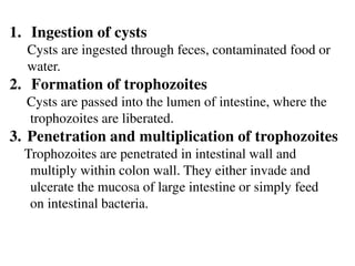 Antiamoebic drugs | PDF