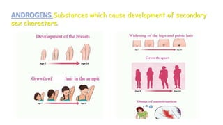 ANTIANDROGENS.pptx