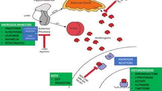 ANTIANDROGENS.pptx