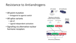 Antiandrogens beyond biclutamide in metastatic prostate cancer.pptx