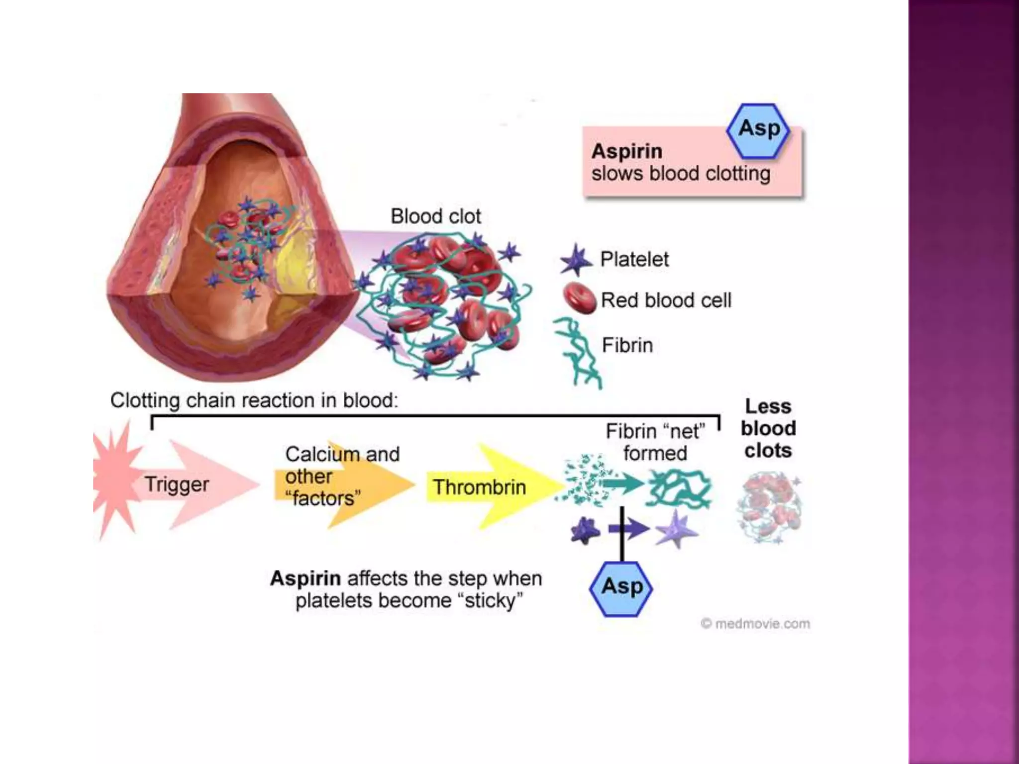Antiangina drug | PPT