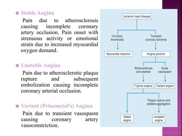 Antiangina drug | PPT