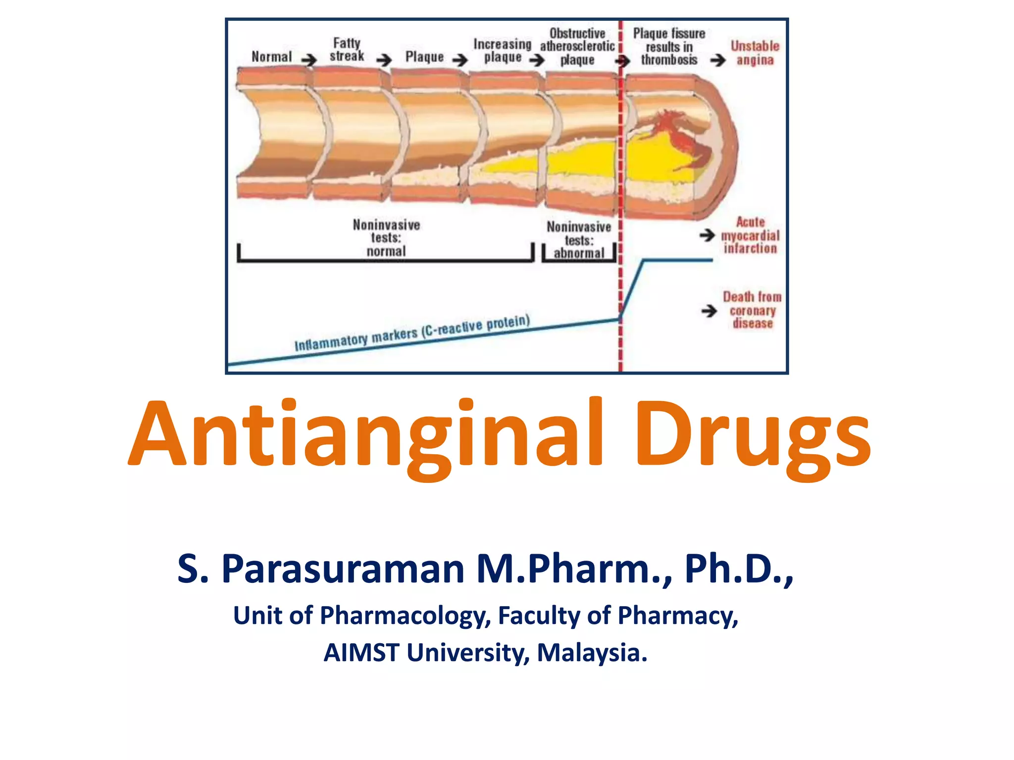 Antianginal Drugs | PPTX