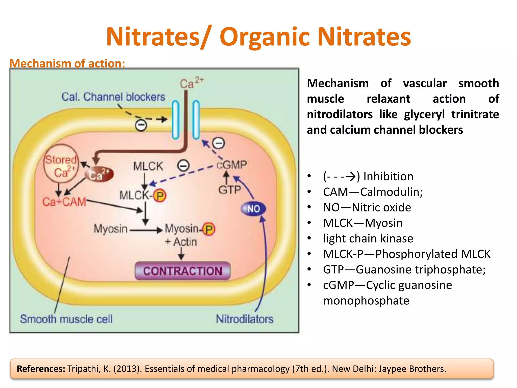 Antianginal Drugs | PPTX